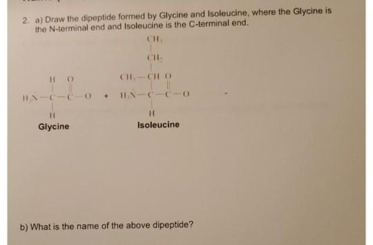 Solved 2. a) Draw the dipeptide formed by Glycine and | Chegg.com