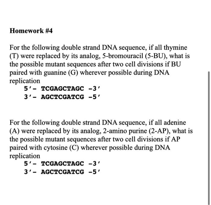 Solved Homework \#4 For the following double strand DNA | Chegg.com