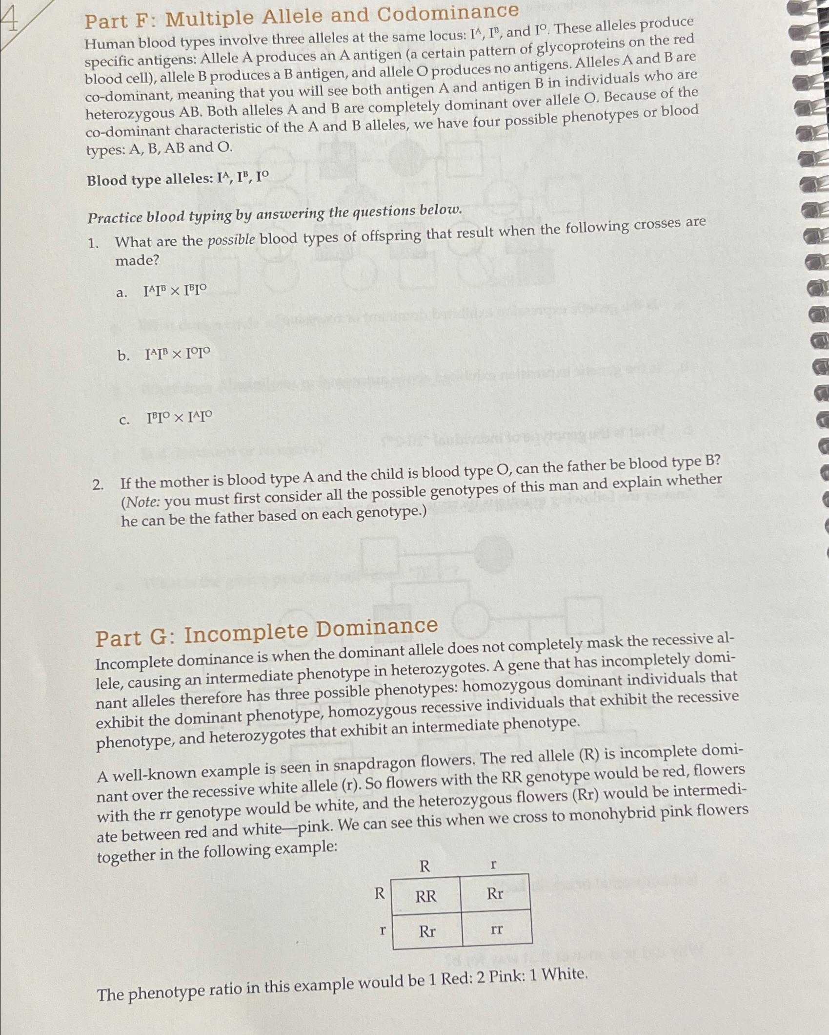 Solved Part F: Multiple Allele and CodominanceHuman blood | Chegg.com