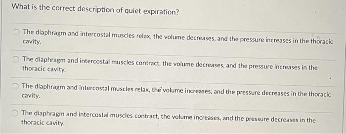 Solved What is the correct description of quiet expiration? | Chegg.com