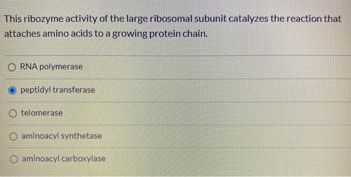 Solved This ribozyme activity of the large ribosomal subunit | Chegg.com