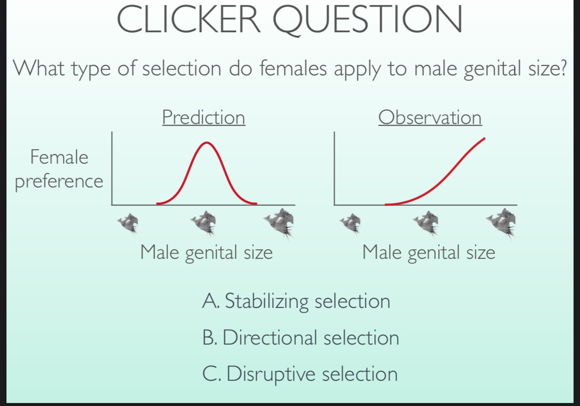 Solved What type of selection do females apply to male | Chegg.com