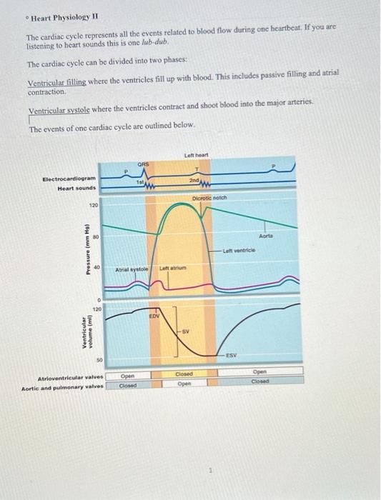 Solved - Heart Physiology II The cardiac cycle represents | Chegg.com
