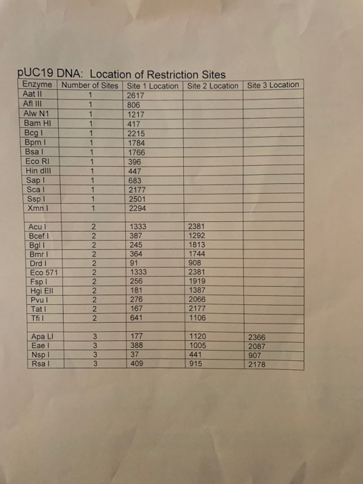 BIOLOGY 201 - GENETICS Genetic Analysis of DNA: A | Chegg.com