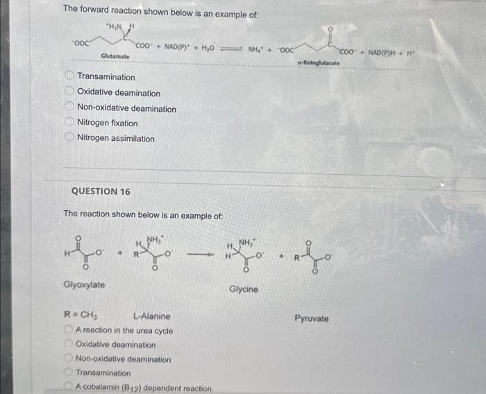Solved The forward reaction shown below is an example of: | Chegg.com