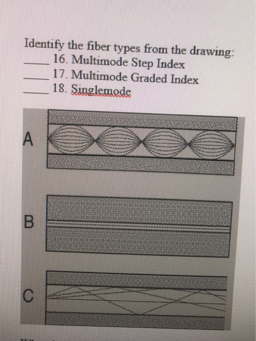 Solved Identify the fiber types from the drawing- 16. | Chegg.com