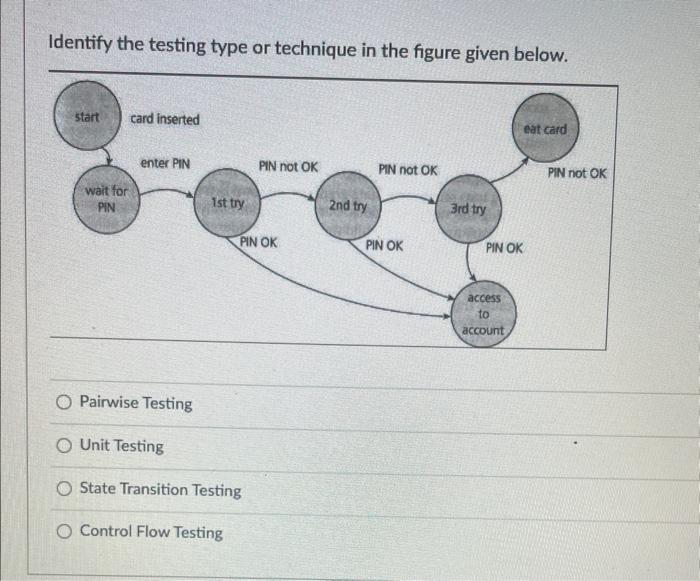Solved Identify the testing type or technique in the figure | Chegg.com