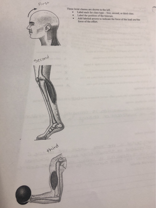 Solved i have the first part done but dont know what way | Chegg.com