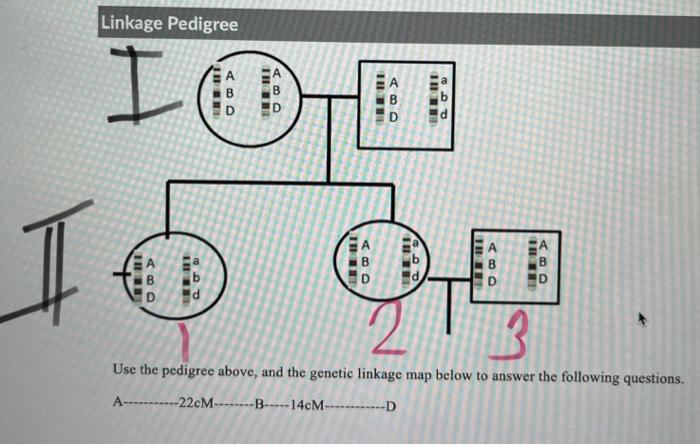 Solved Linkage Pedigree Use the pedigree above, and the | Chegg.com
