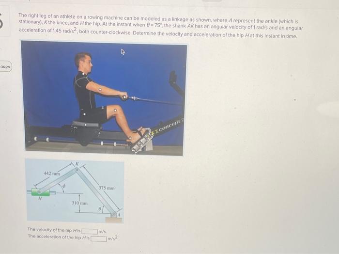 Solved The right leg of an athlete on a rowing machine can | Chegg.com