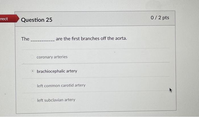 Solved The are the first branches off the aorta. coronary | Chegg.com