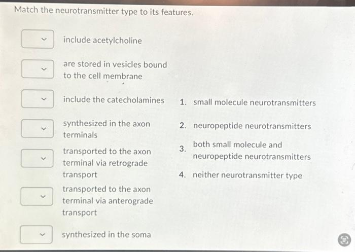 Solved Match the neurotransmitter type to its features. | Chegg.com
