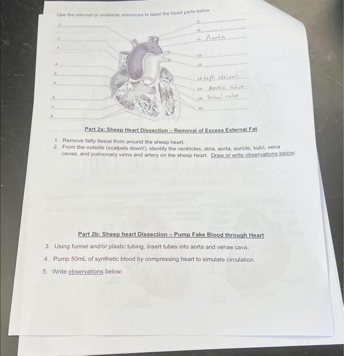 Use the intemet or avalable rosources to label the | Chegg.com