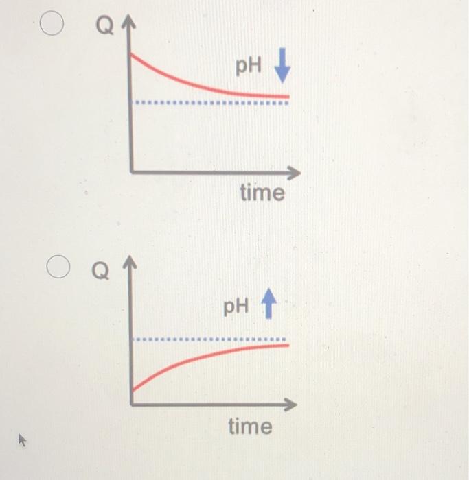 Solved Which of the following graphs best represents the | Chegg.com