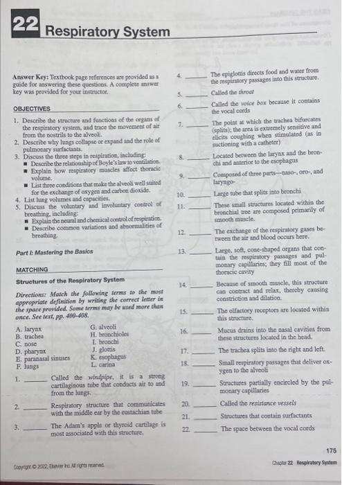 Solved Respiratory System Answer Keyt Textbook page | Chegg.com