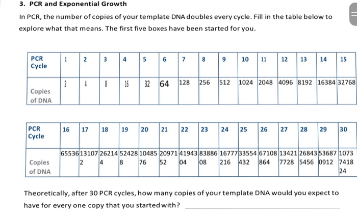 Solved 1. Explain the role of each ingredient in PCR: | Chegg.com