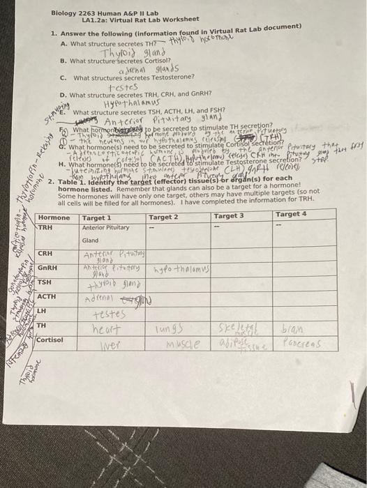 Solved Blology 2263 Human A&P II Lab LA1.2a: Virtual Rat Lab | Chegg.com