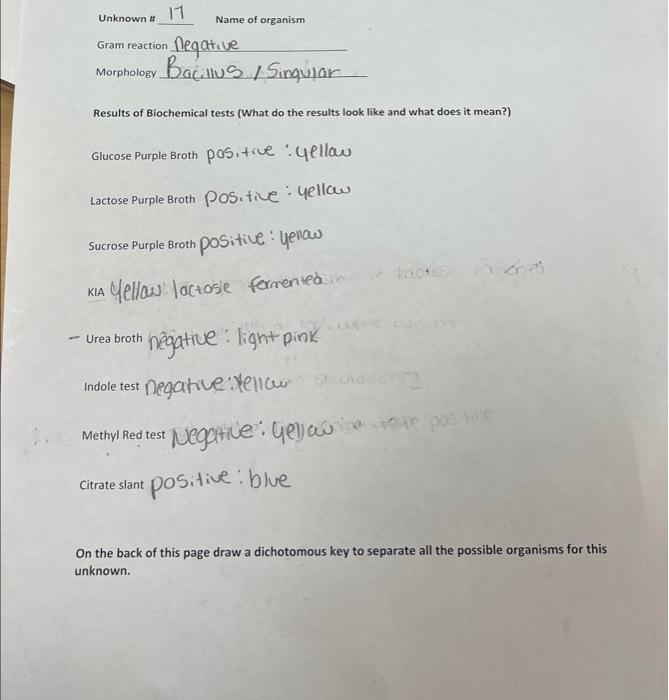 Solved Results of Biochemical tests (What do the results | Chegg.com