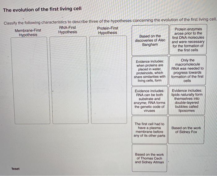 Solved Chemical and biological evolution of life Classify | Chegg.com