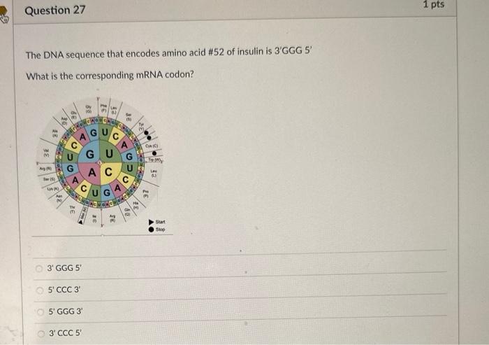Solved The DNA sequence that encodes amino acid \#52 of | Chegg.com