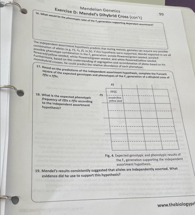 Solved Mendelian Genetics 98 Exercise D: Mendel's Dihybrid | Chegg.com