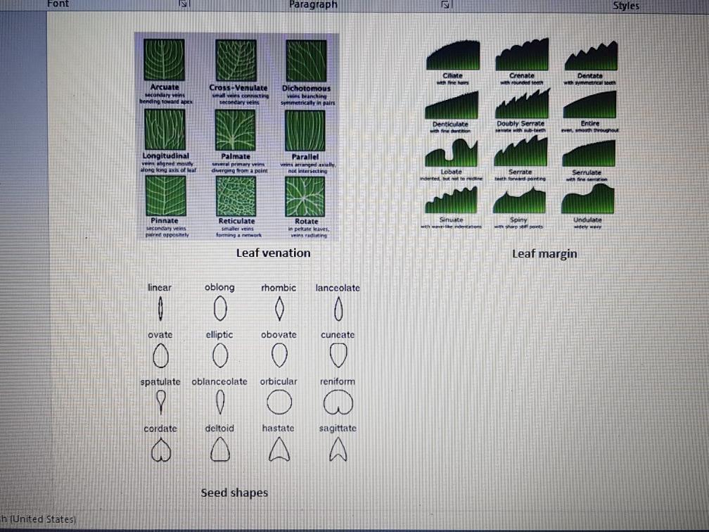 Paragraph 1 Styles Editing Sen B- Seed samples | Chegg.com