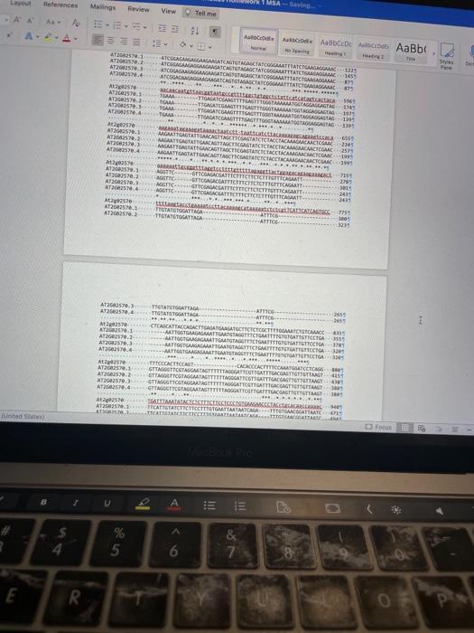 Add the colorful scaffold as it is explained on the | Chegg.com