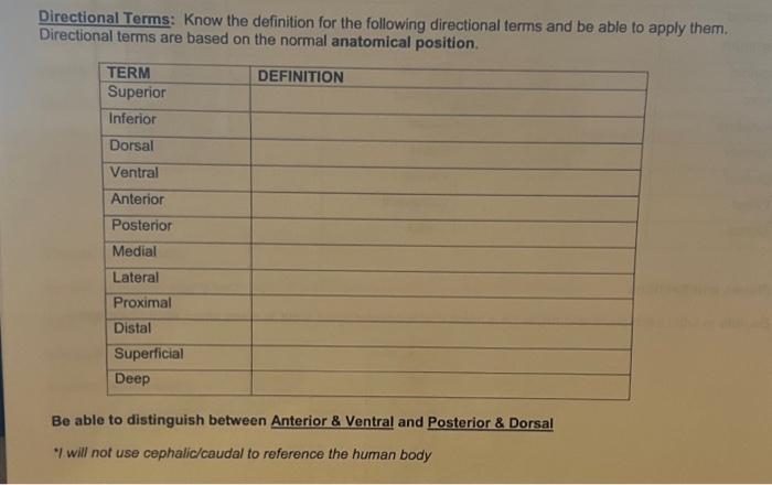 Solved Directional Terms: Know the definition for the | Chegg.com