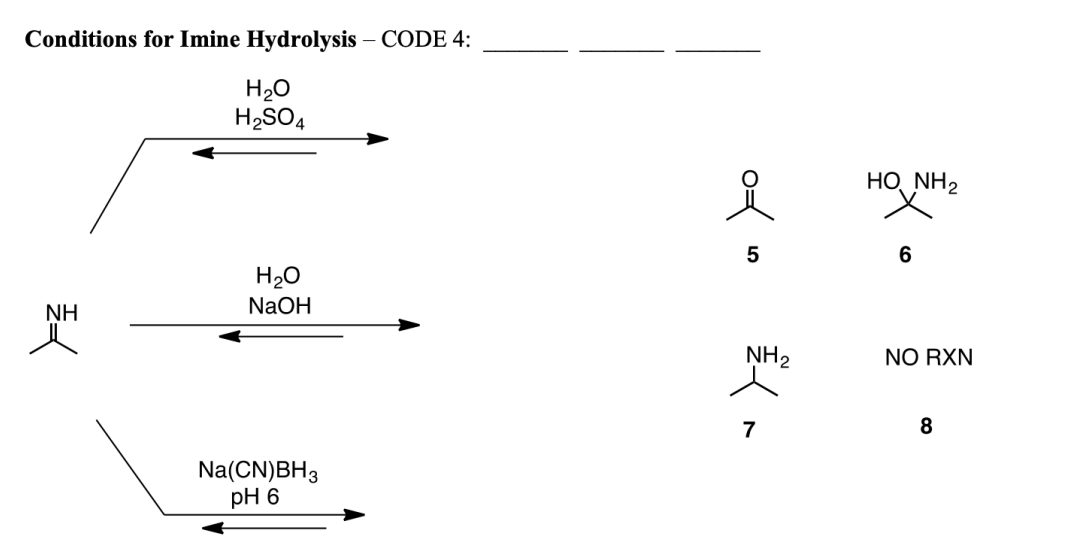 Solved Conditions for Imine Hydrolysis - ﻿CODE 4:56NO RXN78 | Chegg.com