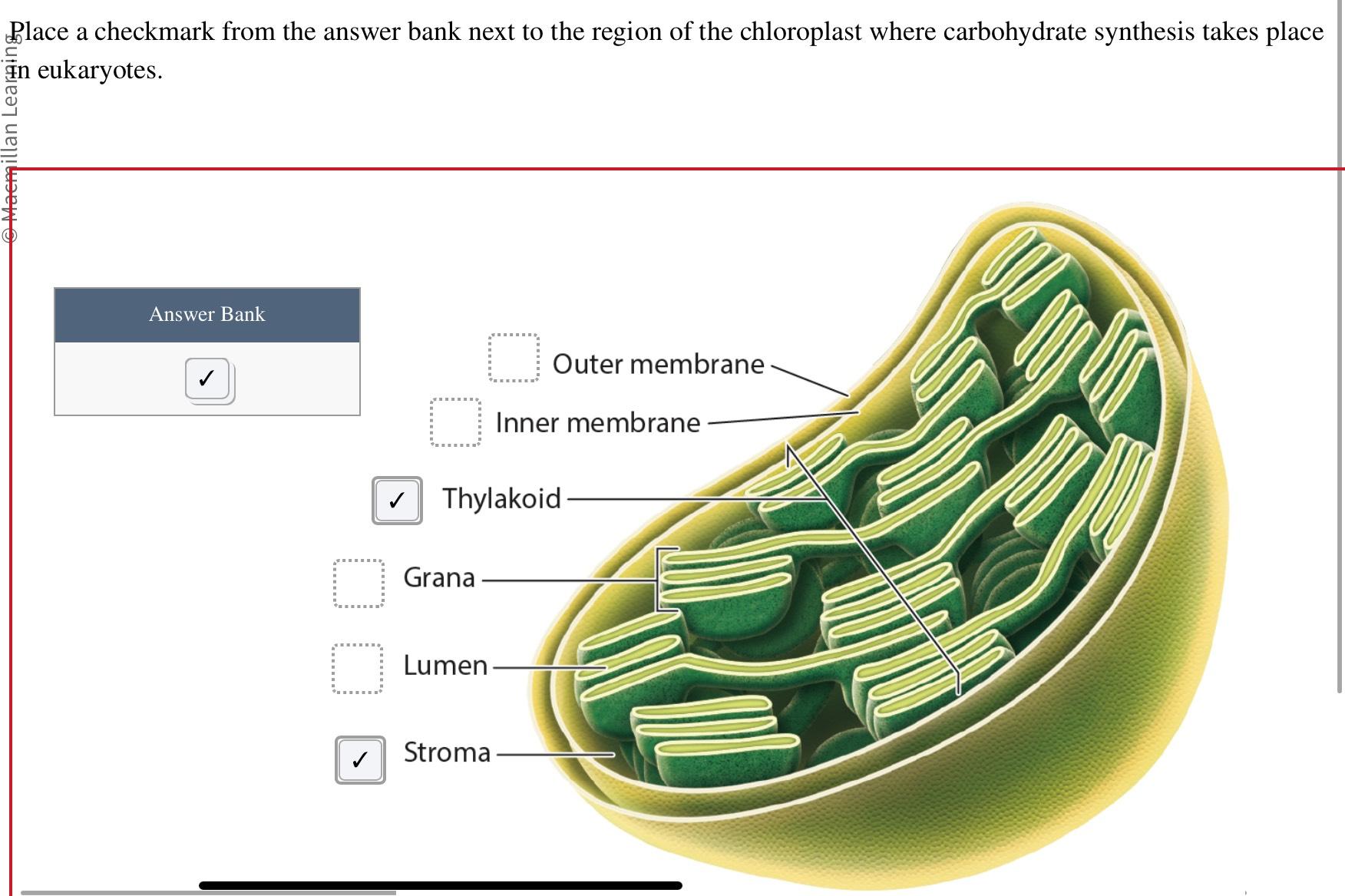 Solved place a checkmark from the answer bank next to the | Chegg.com