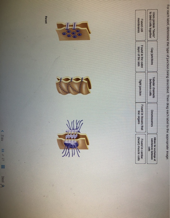 Solved For each label, determine the type of junction being | Chegg.com
