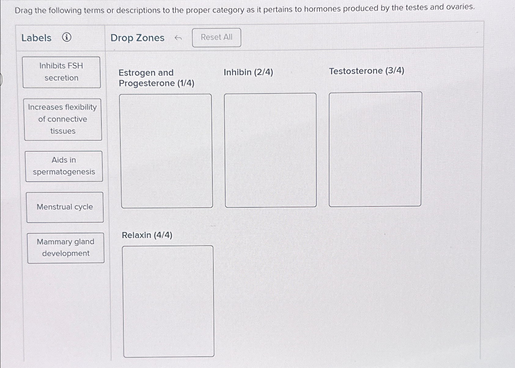 Solved Drag the following terms or descriptions to the | Chegg.com