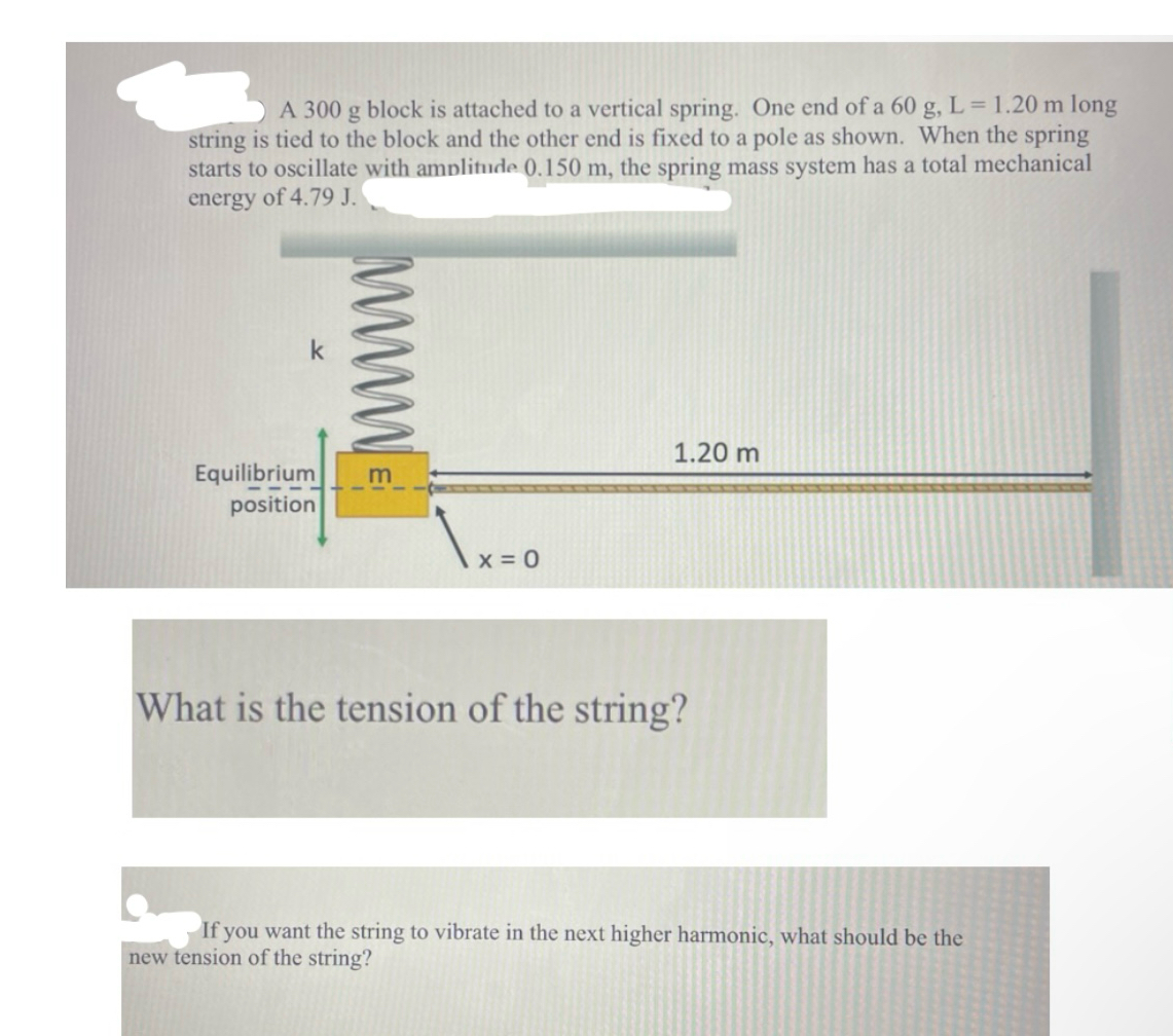 Solved A 300g ﻿block is attached to a vertical spring. One | Chegg.com
