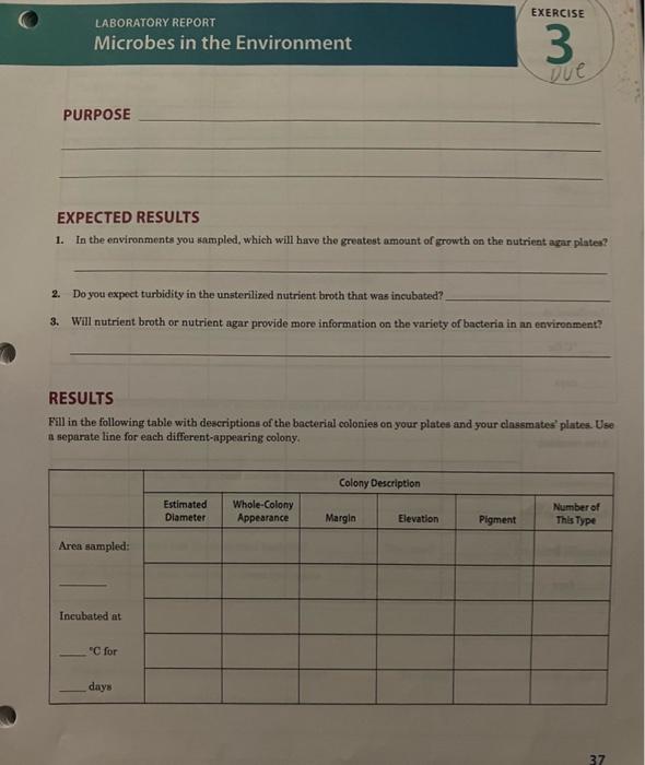 Solved EXPECTED RESULTS 1. In the environments you sampled, | Chegg.com