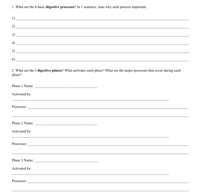 Solved 1. What are the 6 basic digestive processes? In 1 | Chegg.com