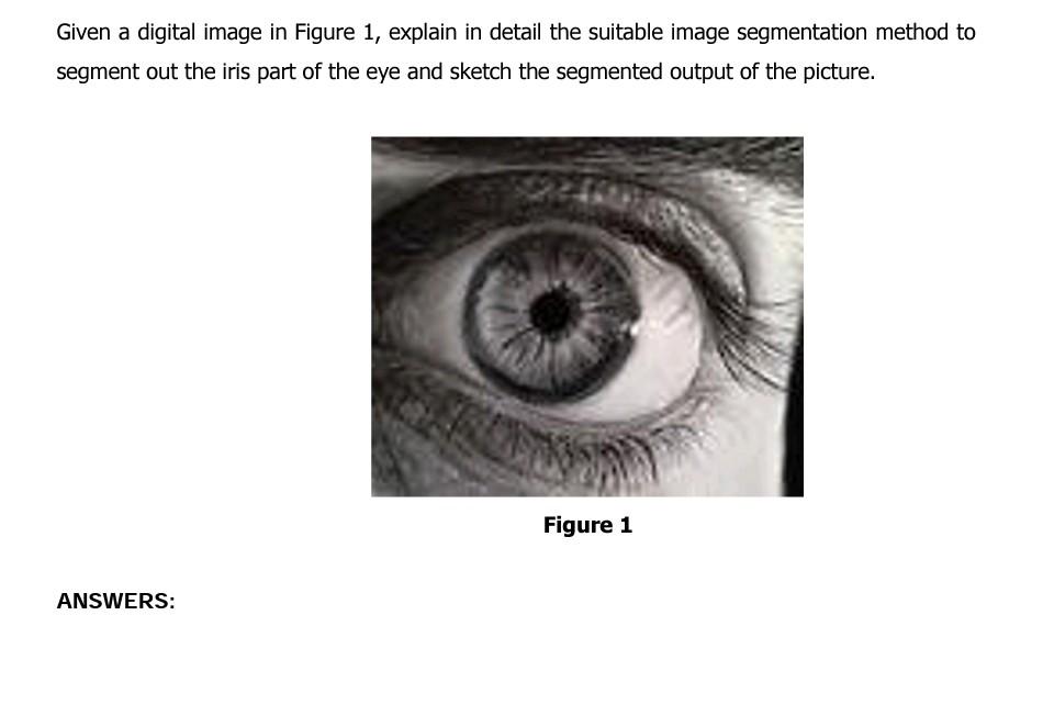 Solved Given a digital image in Figure 1, explain in detail | Chegg.com