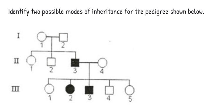 Solved Identify two possible modes of inheritance for the | Chegg.com