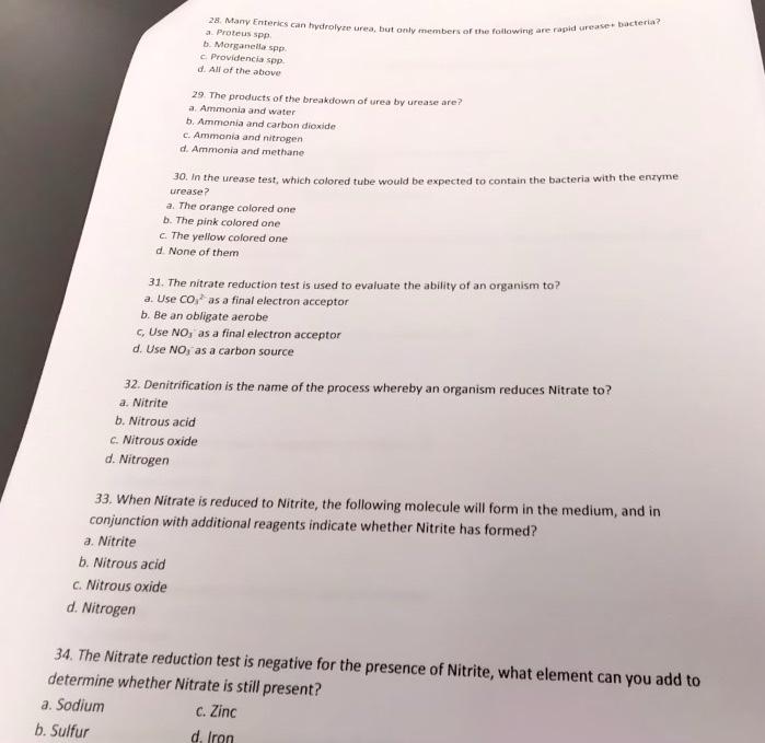 Solved 28. Mamy Enterics can hydiplyze urea, byt only | Chegg.com