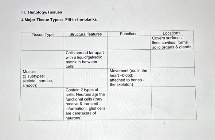 Solved III. Histology/Tissues 4 Major Tissue Types: | Chegg.com
