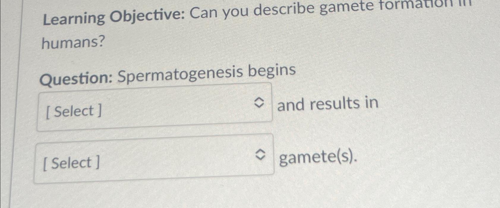 Solved Learning Objective: Can you describe gamete formanon | Chegg.com Solved Learning Objective: Can you describe gamete formanon | Chegg.com