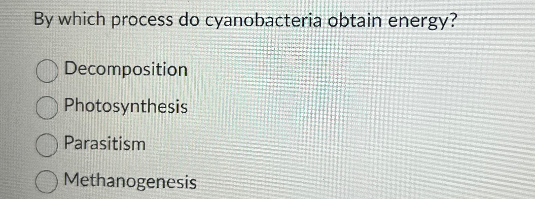 Solved By which process do cyanobacteria obtain | Chegg.com