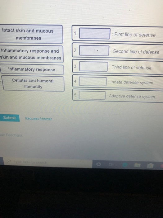 Solved Intact skin and mucous membranes : First line of | Chegg.com