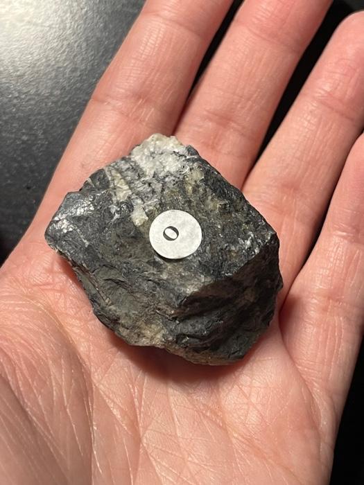 Solved EXERCISE 1: METAMORPHIC ROCK IDENTIFICATION In | Chegg.com