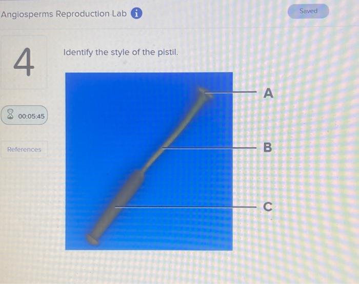 Solved Angiosperms Reproduction Lab (i Identify the style of | Chegg.com