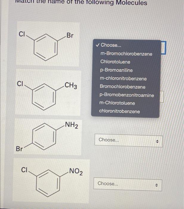 Solved Choose... m-Bromochiorobenzene Chlorotoluene | Chegg.com