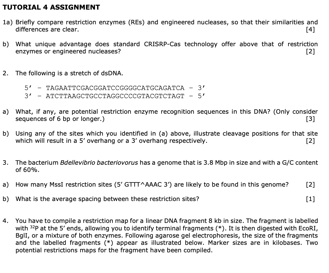 Solved TUTORIAL 4 ﻿ASSIGNMENT1a) ﻿Briefly compare | Chegg.com