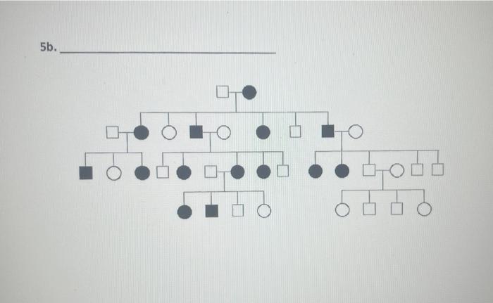 Solved 5. For each of the following pedigrees, give the most | Chegg.com