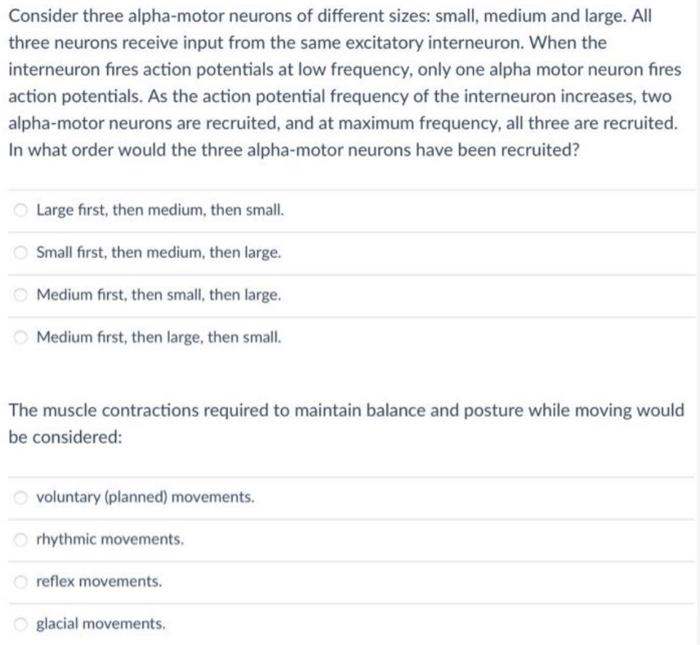Solved Consider three alpha-motor neurons of different | Chegg.com