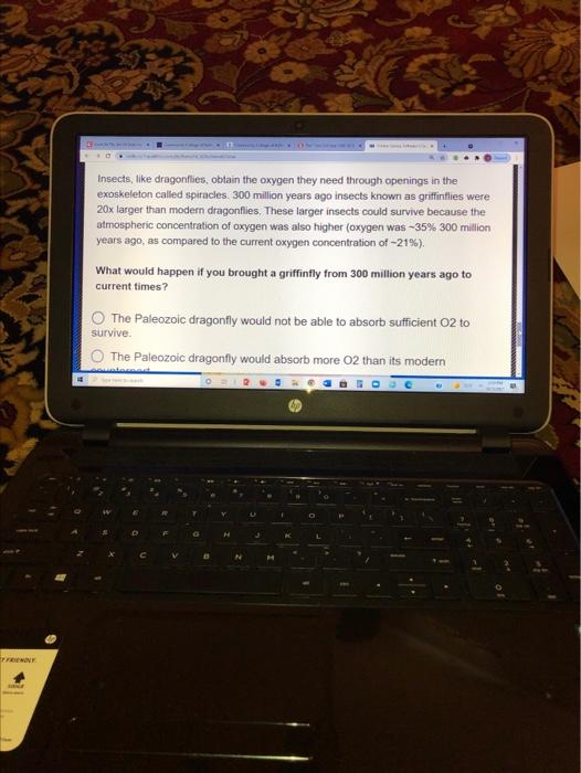 Solved Insects, like dragonflies, obtain the oxygen they | Chegg.com