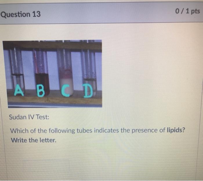 Solved 0/1 pts Question 13 A B D Sudan IV Test: Which of the | Chegg.com